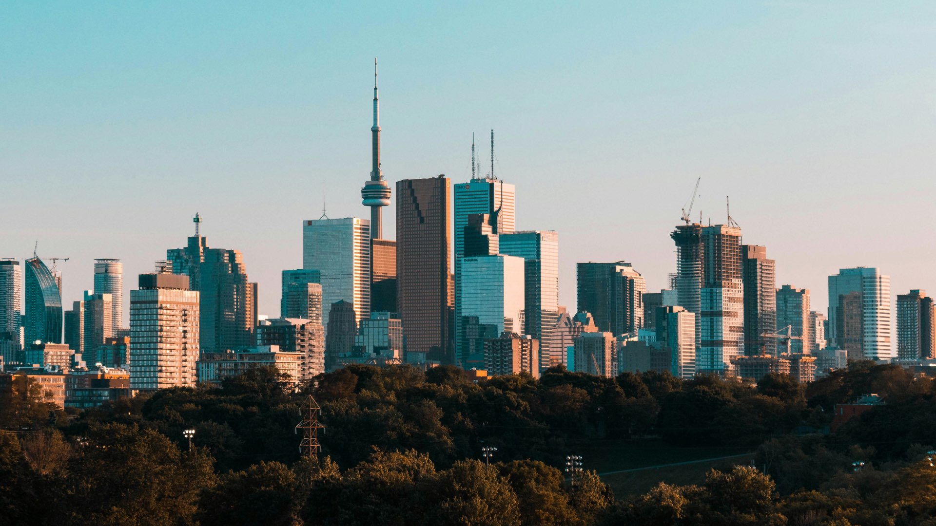 Jeu concours Rose au Canada